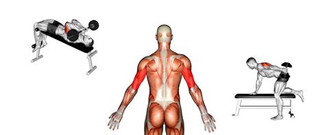 TOP Mejores ejercicios para potenciar tus tríceps iLoveFit