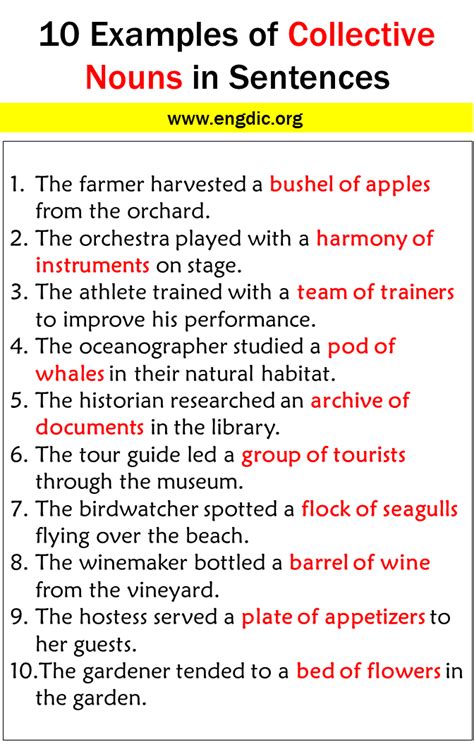 Examples Of Collective Noun Sentences Design Talk