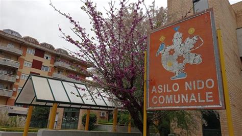 La Storia Travagliata Dell Asilo Nido Comunale BelvedereNews