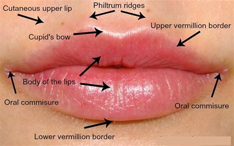 Lips Name Image At Mark Brown Blog