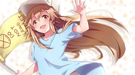 Lewd Anime Wallpapers LEWD Anime Desktop Wallpapers Wallpaper Cave