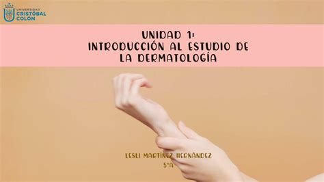Embriolog A De La Piel Lesli Mart Nez Udocz