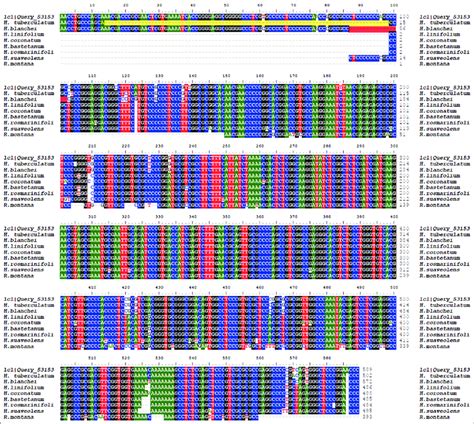 Clustal W Multiple Sequence Alignment Of ITS1 And ITS2 Regions The