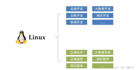 linux零基础快速入门到精通 linux 入门到精通 csdn博客