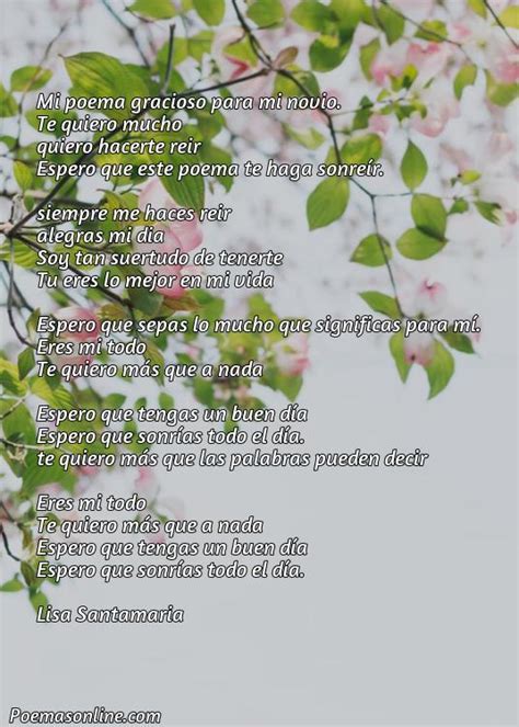 Mejores Poemas Chistosos Para Mi Novio Poemas Online The Best