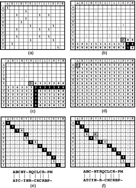 needleman wunsch algorithm