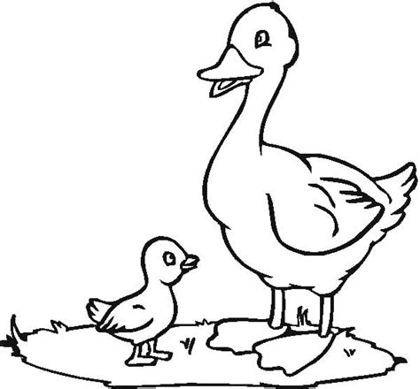 57 Desenhos De Pato Para Imprimir E Pintar Em Casa