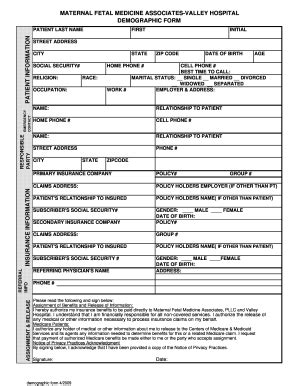 Demographic Form Fill Out And Sign Printable PDF Template SignNow