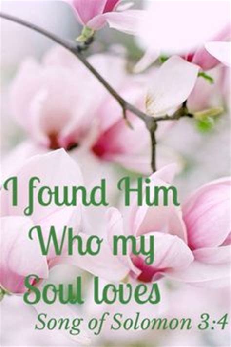 Song Of Solomon Quotes From The Bible AllGreatQuotes