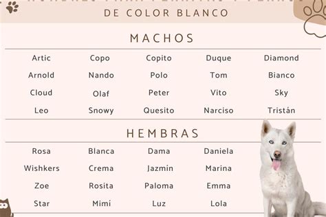 Los Apodos M S Divertidos Para Tu Conejo Encuentra El Perfecto Para
