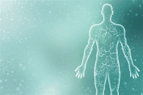 15 Datos Interesantes Sobre El Cuerpo Humano