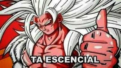 E S E N C I A YouTube
