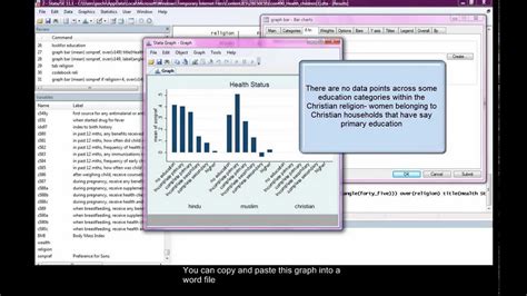 Stata Bar Graphs Youtube