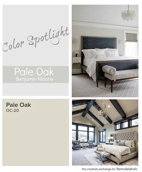 Albert Blog Color Spotlight Benjamin Moore Pale Oak