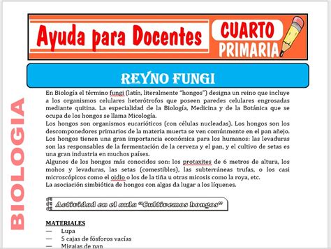 Blog De Primaria Reino De Las Bacterias The Best Porn Website