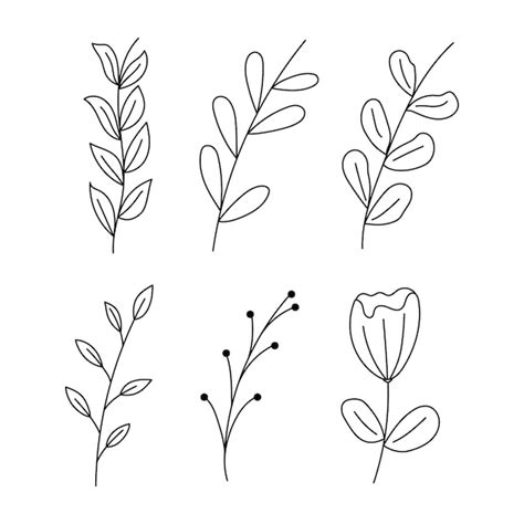 Cole O De Flores Desenhadas M O Vetor Premium