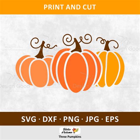 Three Pumpkins Svg Pumpkins Clipart Autumn Holiday Decor Etsy