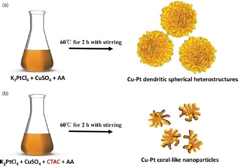 Schematic Illustration For The Preparation Of A Cupt Dendritic