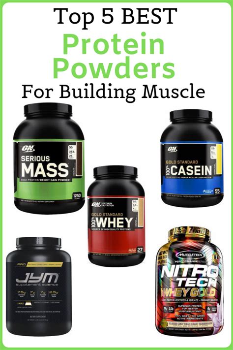 The Best Protein For Muscle Gain And Fat Loss In 2023 HEALTH