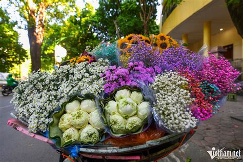 Thu Hà Nội đẹp nao lòng trên những chiếc xe hoa chở mùa qua phố Báo