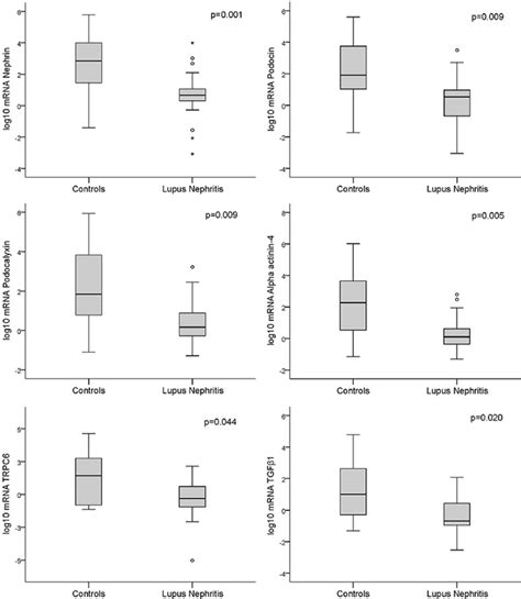 box plot representations showing medians and interquartile ranges of download scientific