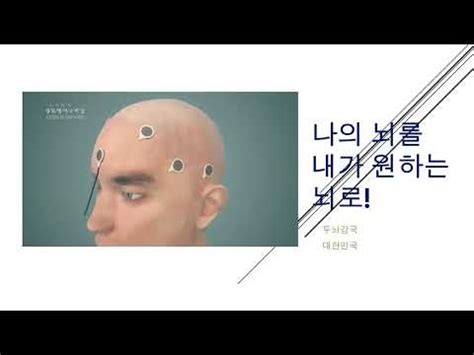 두뇌관리사2급 수강생모집 파낙토스 뉴로하모니 두뇌관리사 홈창업 뉴로피드백클리닉 뇌훈련 뉴로피드백 불면증 수면