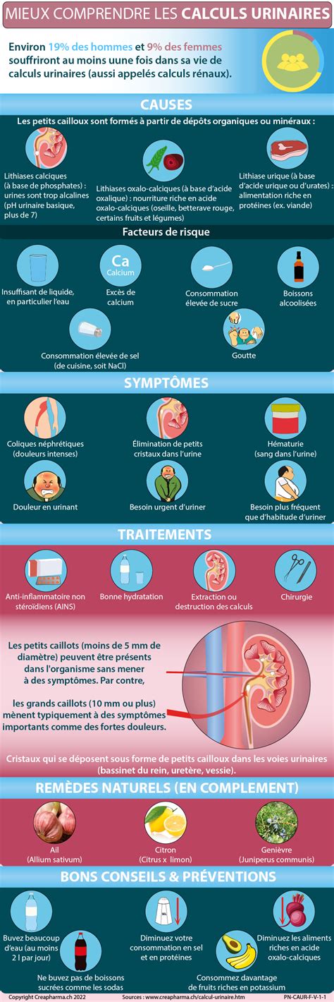 Calculs urinaires calculs rénaux causes traitements Creapharma