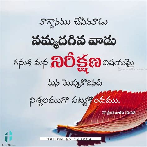 Bible Quotes Images In Telugu Vita Ladner