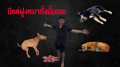 เดอะกอ x NOAH RO CLASSIC GGT SV BAPHOMET 31 05 2022 YouTube