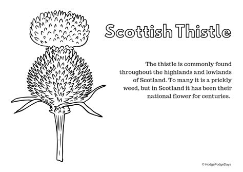 FREE Printables Learning About Scotland HodgePodgeDays