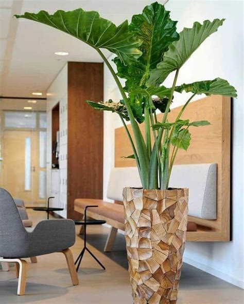 Vaso Grande Modelos Para Plantas E Decora O