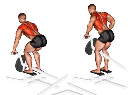 Top T Bar Row Alternative Exercises With Videos