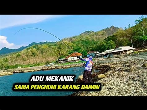 Mancing Pinggiran Karang Daimin Wisata Pelabuhan Ratu Sukabumi