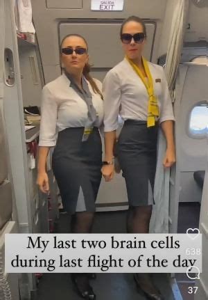 Busty Flight Attendant