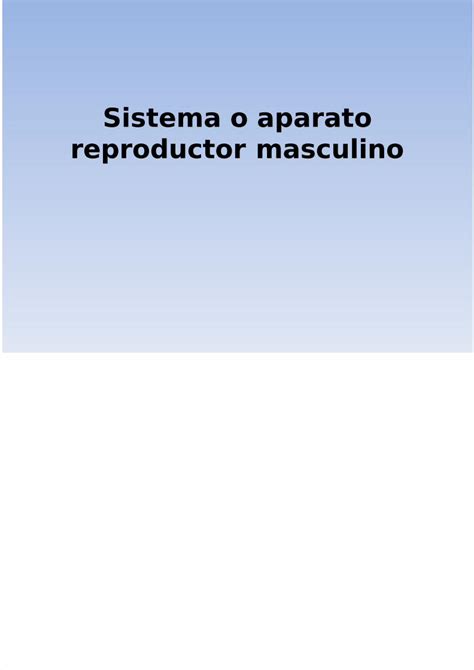 PDF Sistema O Aparato Reproductor Masculino DOKUMEN TIPS 24192 The