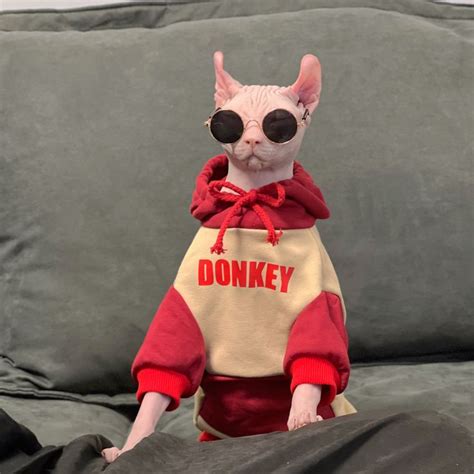 Us Hairless Cat Costume Autum Winter Kitten Clothes Warm Cotton