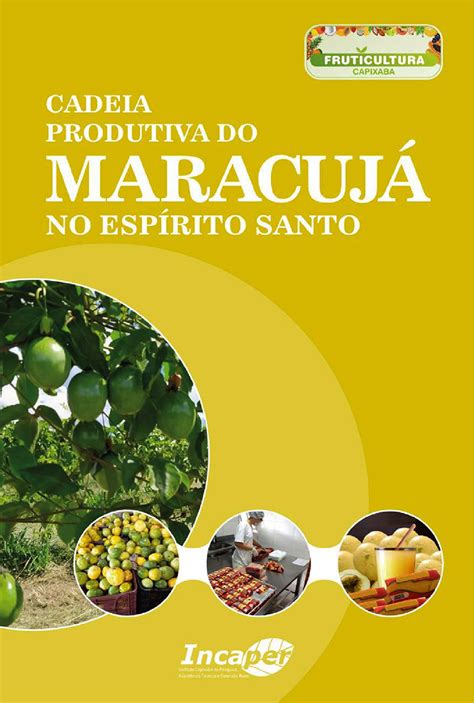 Incaper Lan A Livro Cadeia Produtiva Do Maracuj No Esp Rito Santo