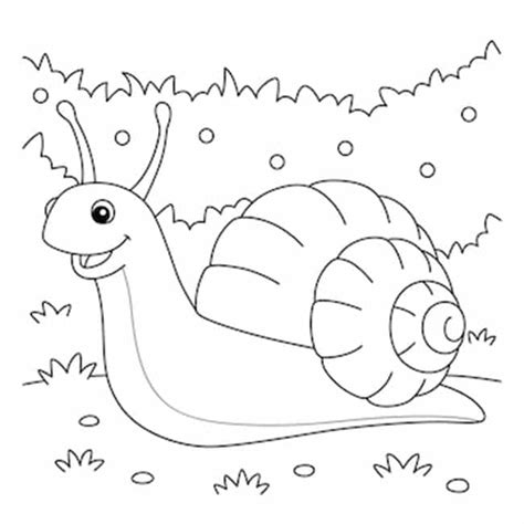 31 Desenhos De Caramujo Para Imprimir E Colorir Pintar