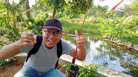 MANCING IKAN BETOK ORANG GAK TAU DI SINI BANYAK IKAN BETOK MANCING