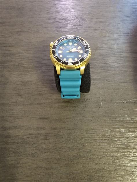 Citizen Eco Drive Promaster Dive Men S Blue Dial Watch Bn X Ebay