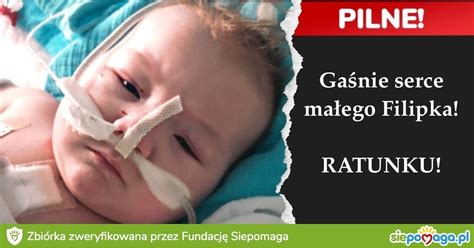 Skarbonka Pomagacza Natalia Kuźma Zielony Piknik Gryfino Siepomaga pl