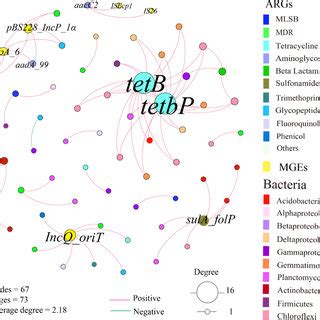 Network Analysis Showing The Co Occurrence Patterns Between ARGs MGEs