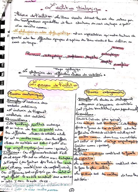 Bac Sc expérimentales Sciences SVT resume science toute l annee