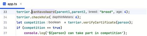 Typescript Intellij Idea Documentation