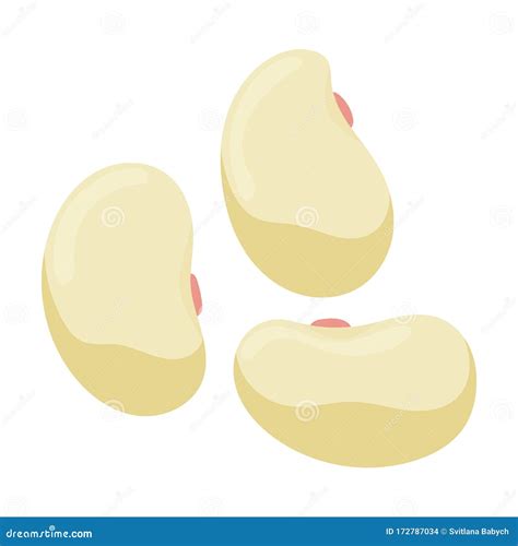 Icono De Vector De Frijol Blanco Icono Vectorial De Caricatura Aislado