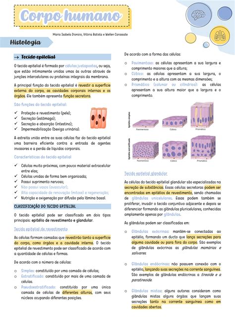 Solution Histologia Tecidos Do Corpo Humano Mapa Mental Studypool