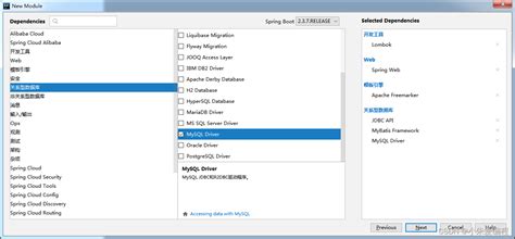 快速了解springboot（springboot集成mybatis） org mybatis spring boot csdn博客