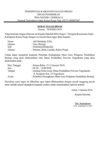Surat Dinas Pengertian Ciri Ciri Unsur Fungsi
