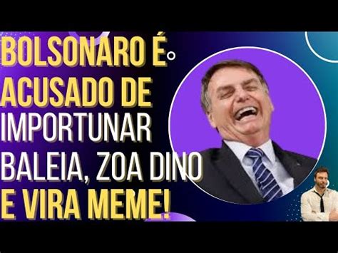 Bolsonaro é investigado por importunar baleia faz piada Dino e