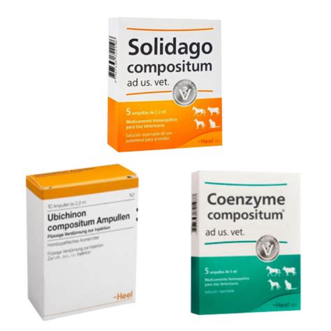 Kit Terapia SUC Heel ERC Livepetter